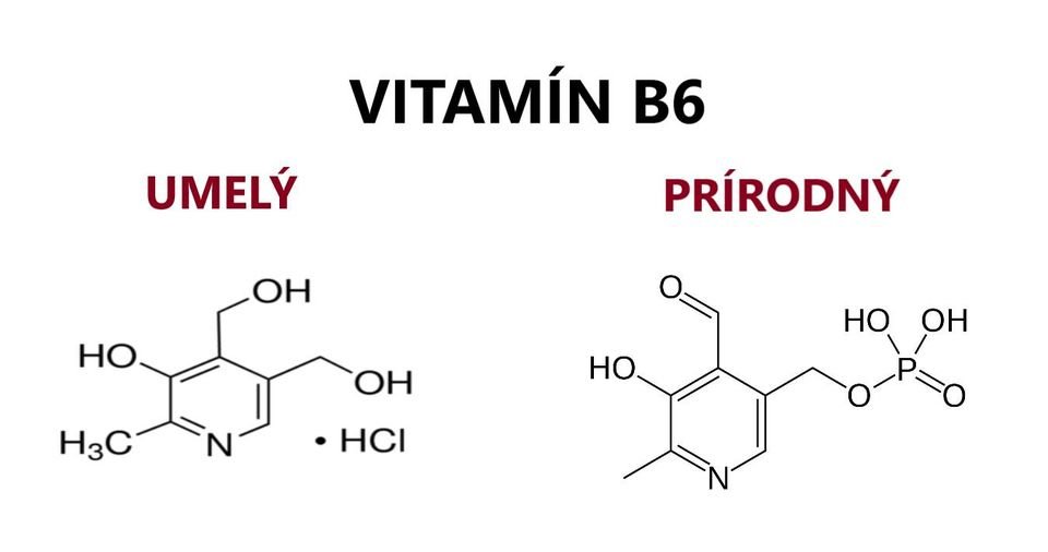 sebena 2 | Synergeticum